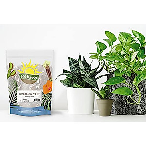 Coco Peat Perlite Potting Mix (2 Quarts), Loose Coconut Coir and Perlite
