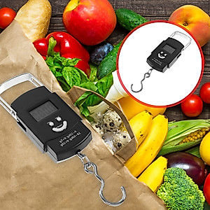 Spring Balance Digital Small Scales Small Weight Scale Hook Scale Home Supplies Home Electronic Scale Kitchen Weight Scale Hanging Scale Fishing Weight Scale Hand Scale Fish Scale