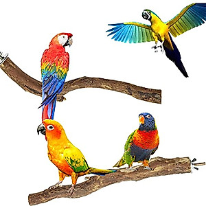 Allazone 5 PCS Bird Perch Natural Wood Bird Perch Stand Wooden Parrot Perch Stand Bird Standing Stick Swing Chewing Bird Toys for Parrot Cages Toy for Cockatiels, Parakeets, Finches
