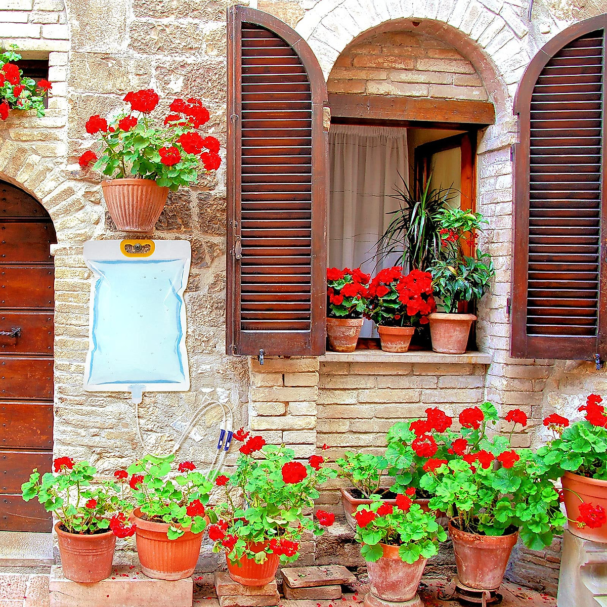 3 Pieces 3.5 L IV Drip Bag for Plants Drip Bag Automatic Plant Stuff Watering Bag System Drip Irrigation Device Adjustable Control Valve Switch for Indoor Outdoor Plant Waterer