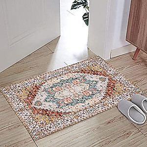 Entry Rugs for Inside House 2x3 Rug Washable Area Rugs Small Rugs Entry Rug 2x3 Rugs for Entryway Small Rugs for Entryway