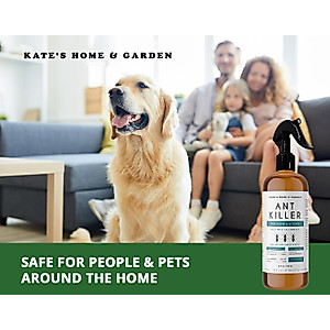 Kate's Home & Garden Ant Killer Indoor Safe for Pets and Kids (16oz) Roach & Ant Killer Spray for Indoor & Outdoor. Insecticide for Ants and Roaches with Natural Cedarwood Oil