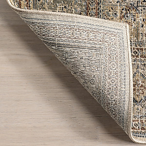 nuLOOM Carol Traditional Medallion Area Rug, 8x11, Beige