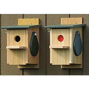 FMS Ravenox Sparrow and Starling Eliminator Trap | Starling Trap, Sparrow Trap | House Sparrow Trap for Eliminating Invasive, Non-Native Sparrows | Bird Trap with Sparrow Trap Door