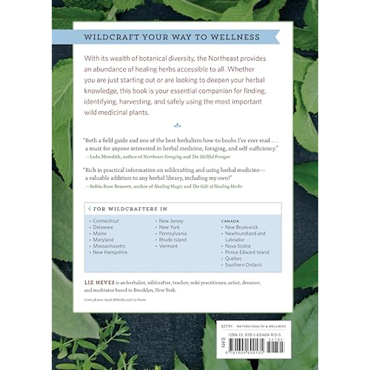 Northeast Medicinal Plants: Identify, Harvest, and Use 111 Wild Herbs for Health and Wellness (Medicinal Plants Series)