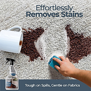 ForceField Fabric Cleaner - Professional Strength - Deeply Penetrates Water Safe Fabric & Fibers of Upholstery, Clothing, Rugs & Carpeting 22oz