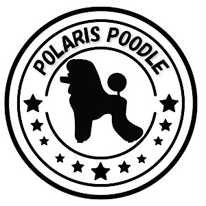 ★POLARIS★ Food Picks ＆ Food Balun for Lunch Box (Dinosaurs)