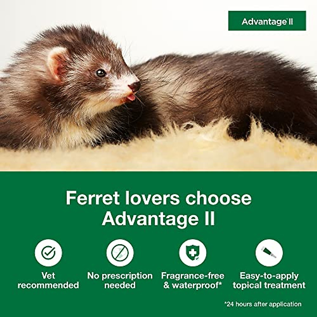 Advantage II Ferret Vet-Recommended Flea Treatment & Prevention | Ferret 1+ lbs. | 2-Month Supply