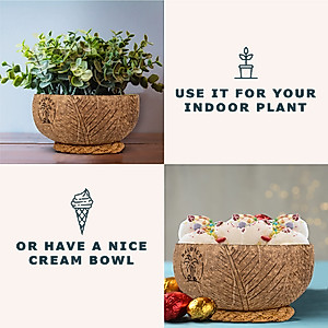 Halonut's Coconut Bowls- Acacia Wooden Spoons, Bamboo Straw Cleaner, Coconut Husk Rope Stand, Cotton Pouch Buddha Acai Smoothie Vegan Bowl Handmade By Artisan Natural Unique Eco Friendly Gift Set of 2