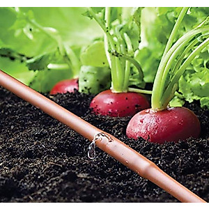 Rain Drip R567DT Drip Watering Vegetable Garden Kit