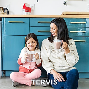 Tervis Peanuts - Woodstock Flyover Made in USA Double Walled Insulated Tumbler Travel Cup Keeps Drinks Cold & Hot, 16oz Mug, Classic