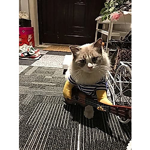 S-Lifeeling Dog Costumes Pet Guitar Costume Guitarist Player Party Funny Ourfits for Halloween Christmas Cosplay Cat Clothes (XL)