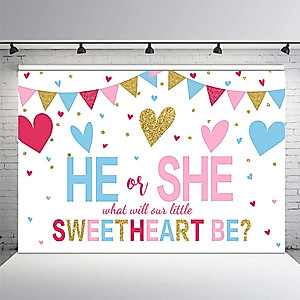 MEHOFOND Sweetheart Gender Reveal Baby Shower Photo Background He or She Valentine's Day Blue or Pink Gold Love Hearts Party Decoration Backdrops Banner for Photography 7x5ft