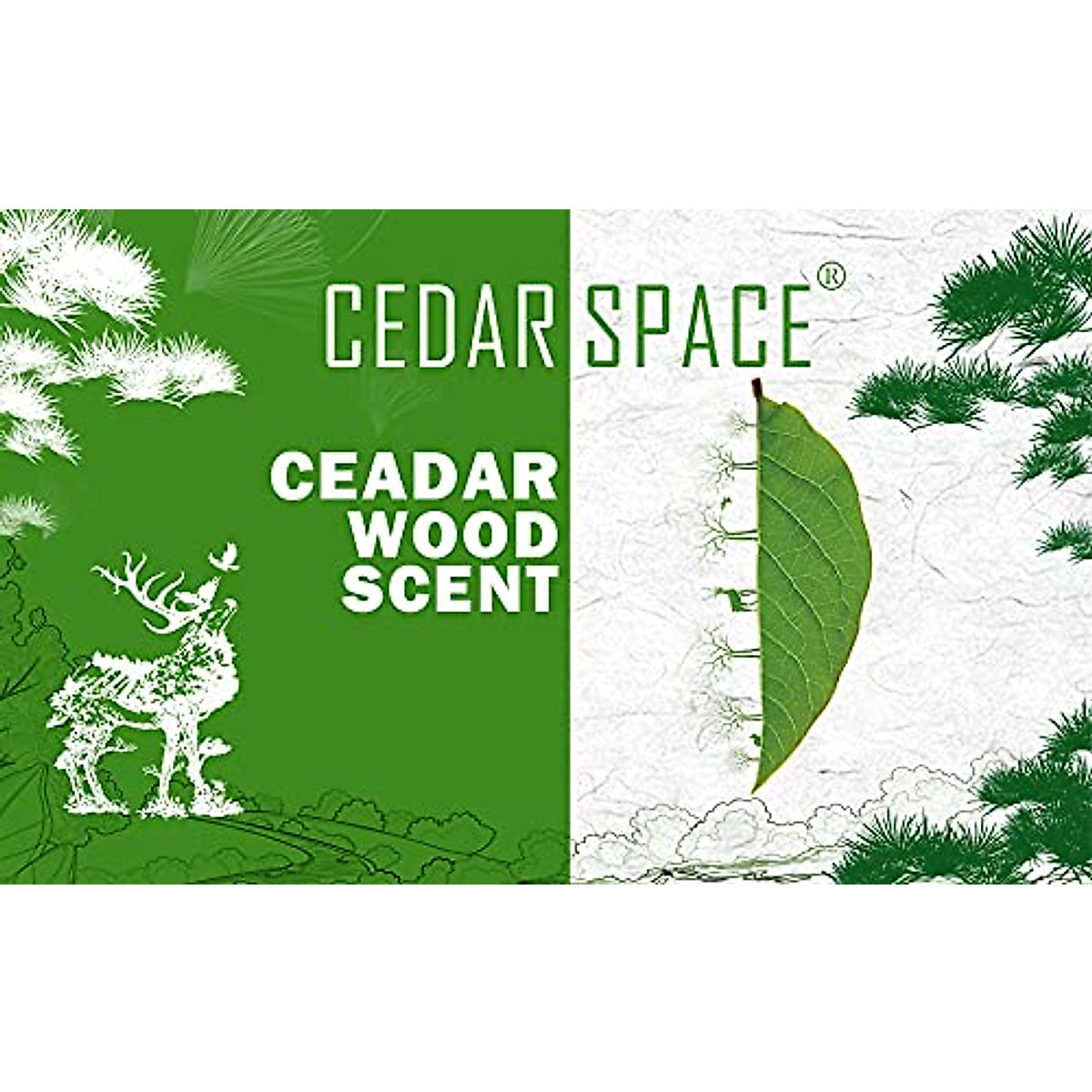 Cedar Space Cedar Blocks for Clothes Storage, 100% Aromatic Red Ceder Blocks, Cedar Planks, Cedar Accessories for Closets Storage, 16 Pcs