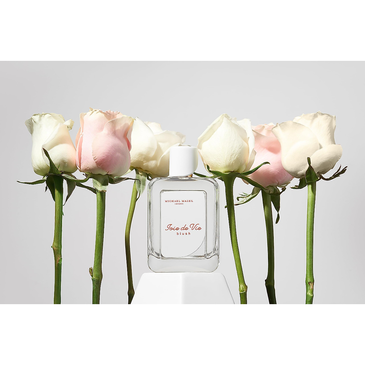 Michael Malul Joie de Vie Blush Eau de Parfum for Women - 100ml | 3.4oz