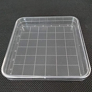Scicalife 10 Sets Square Petri Dish with Lids, Plastic Material, Container for School Lab Science Experiment