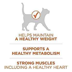 Purina ONE High Protein, Healthy Weight Dry Cat Food, +Plus Ideal Weight With Turkey - 16 lb. Bag