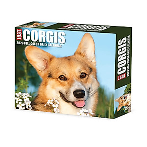Corgis 2023 Box Calendar