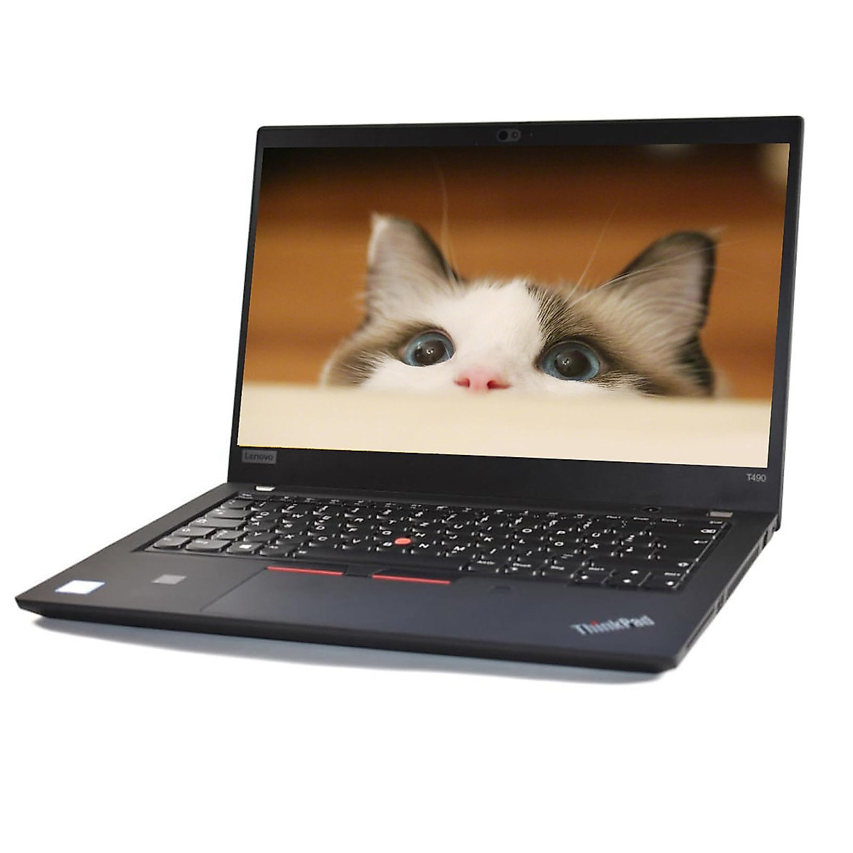 Lenovo ThinkPad T490 Business Laptop, 14" FHD (1920x1080) Display, Intel Core i5-8365U Processor 1.6GHz, 16GB RAM, 512GB SSD, Windows 10 Pro 64-bit (Renewed)