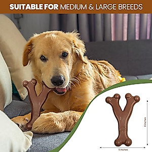 SPOT Bam-Bones Wishbone - Made with Strong Bamboo Fiber, Durable Long Lasting Dog Chew for Light to Moderate Chewers, Great Toy for Adult Dogs & Teething Puppies Under 50lbs, 7in, Bacon Flavor