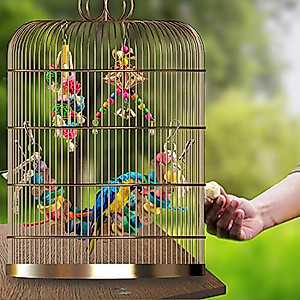 Bird Swing Toys 6pcs AOPMET, Parrot Swing Chewing Toys Hanging Perches with Bells, Pet Bird Swing Chewing Toys for Parakeets Cockatiels, Conures, Parrots, Love Birds