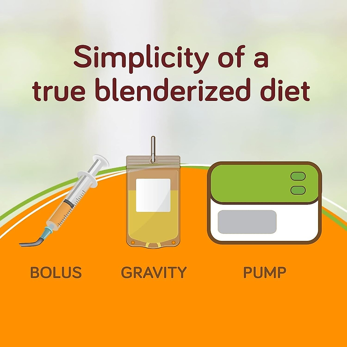 Real Food Blends Beef, Potatoes & Spinach - Pureed Food Meals for Tube Feeding with Protein, Vegetables & Fruits - 330 Calories for Lunch & Dinner - 9.4 oz (Pack of 12)