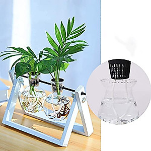 2 Inch Plastic Net Cups, Pots Plant Containers, for Hydroponics Aquaponics Orchids, 50 Pcs Black.