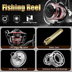 Fishing Reel, Spinning Reel, Ultralight 5.2:1 Gear Ratio, 12 Ball Bearings, 39.5LB Carbon Fiber Drag, Reversible Handle for Left and Right Retrieve, Perfect for Freshwater and Saltwater (H2000)
