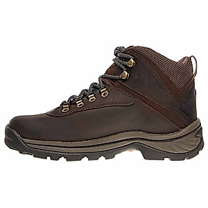 Timberland womens White Ledge Mid Hiking Boot, Dark Brown, 8.5 US
