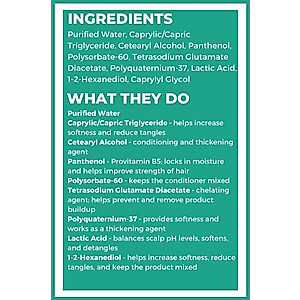 Cleure Hydrating Fragrance Free Conditioner - Hypoallergenic, SLS Free & Paraben Free - Unscented (12 Fl Oz, Pack of 1)