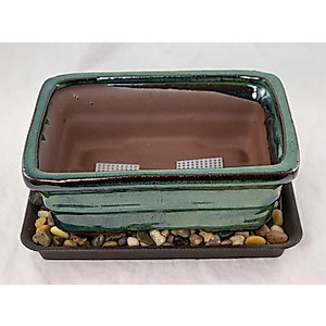 8" Rectangular Green Stain Bonsai/Succulent Pot + Tray + Rock + Mesh Combo