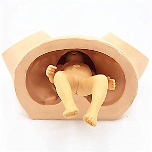 RLQ Childbirth Simulator Teaching Model, for Gynecology Teaching Medical Fertility Education and Study, Advanced Childbirth Training Wiht Baby Nursing Medical Training