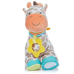 Kids Preferred Carter's Developmental Giraffe Plush