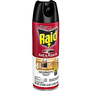 Raid Ant and Roach Killer, Fragrance Free, 17.5 OZ