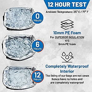 Insulated Breastmilk Cooler Bag With 3 Pockets - Waterproof Baby Bottle Cooler Bag Can Hold 6 Large 9 Ounce Bottles - The Perfect Tote Bottle Bag For Daycare, Nursing Moms, Travel - Feline Friends