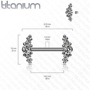 Dynamique Implant Grade Titanium Nipple Barbells With Bezel Set CZ and Micro Ball Cluster Internally Threaded Ends (Sold Per Pair Or Per Piece)