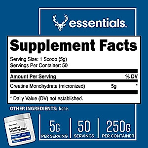 Bucked Up Creatine Monohydrate 250 Grams Micronized Powder, Essentials (50 Servings)