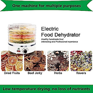 Bestfrog Food Dehydrator Machine Dehydrators For Food And Jerky 5 Trays Adjustable Temperature Control Multi-Funtional Dryer For Preserve Jerky, Fruits, Vegetables, Meat, Herbs, Flowers, Dog Treats