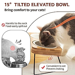 PLUROOF Ceramic Elevated 15°Tilted Cat Bowls, Food and Water Feeding Dishes Bowls, Non-Slip Metal Frame Stand Feeder for Small Size Dogs