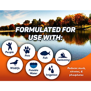 Crystal Blue Natural Pond Cleaner - Muck and Sludge Remover, Safe for Koi - 1 Gallon