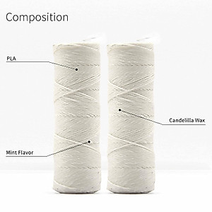 Vegan Refill Dental Floss | Refillable Tooth Floss | Candelilla Wax | Plastic Free Dental Tape | Zero Waste Floss | Eco Floss | Mint | 2 x 55 Yards | Bambaw
