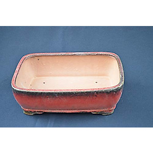 Bonsai Ceramic Pot, 10" Burgundy Color, Rectangle Shape, Glazed with draining Holes.