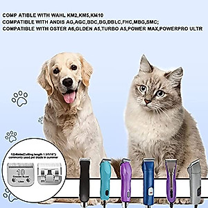 10 Blade Dog Grooming Clipper Replacement Blades Compatible with Andis/Wahl / Oster Dog Clippers,Detachable Ceramic Blade & Stainless Steel Blade,Size-10, 1/16-Inch Cut Length (64315)