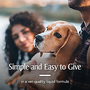 PetArmor Sure Shot Liquid De-Wormer for Dogs and Puppies, Liquid De-Wormer Treats Roundworms & Hookworms in Dogs and Puppies 2 Weeks and Older, For Dogs Under 120 lbs, 2 ounces