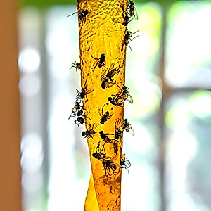 PIC FR10B FR10B-MC Fly Ribbon, Yellow