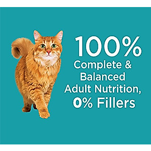 Iams Dry Food Proactive Health Indoor Weight and Hairball Care Dry Cat Food, 3.5 Pound