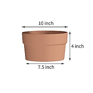 Fcacti 10 Inch Terracotta Shallow Succulent Pot - 2 Pack Large Terra Cotta Clay Pots with Drainage, Round Shallow Terra-Cotta Bonsai Pot for Indoor/Outdoor Plants