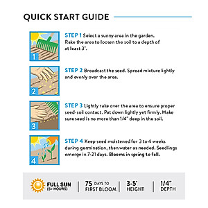 Burpee Wildflower 25,000 Bulk, 1 Bag 18 Varieties of Non-GMO Flower Seeds for Hummingbirds and Butterflies