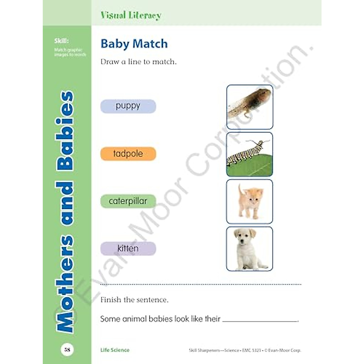 Evan-Moor Skill Sharpeners Science Workbook, Grade 1, Physical, Life, and Earth Science, Songs, Activities, Space, Animals and Eggs, Plants, Habitats, Recycling, Weather, Technology, Homeschool