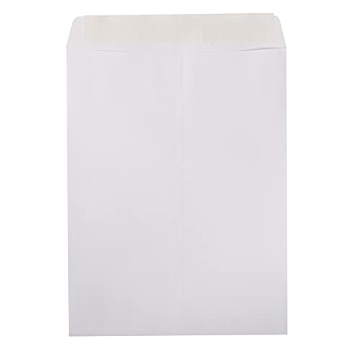 Amazon Basics Catalog Mailing Envelopes, Peel & Seal, 10x13 Inch, White, 100-Pack